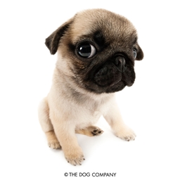 Xp Tomes - Minecraft Mods - CurseForge