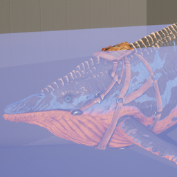 Shasta Primitive Saddle - Files - Ark Survival Ascended Mods - CurseForge