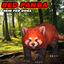 Red Panda skin - The Sims 4 Pets - CurseForge