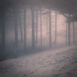 From The Dust - Gallery - Minecraft Modpacks - CurseForge