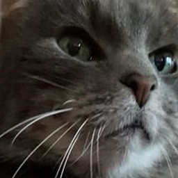 Jabo's Super Staff Addon - Files - Minecraft Mods - CurseForge