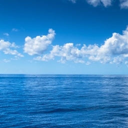 Fujji's Ocean - Minecraft Modpacks - CurseForge