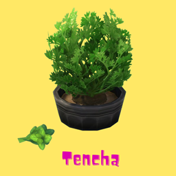 Tencha (Harvestable) - PiedPiper_Tencha (Harvestable).zip - The Sims 4 ...