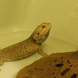 The Valhalla Ultimate Pack - Minecraft Modpacks - CurseForge