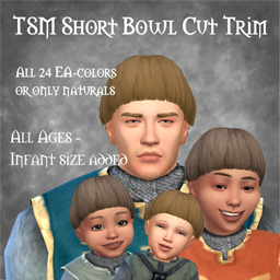 TSM Short Bowl Cut Trim for All Ages - File - The Sims 4 Create a Sim ...