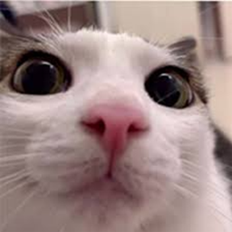 Better Horror Plink - Minecraft Modpacks - CurseForge