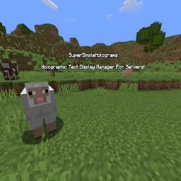 holograms - Minecraft Mods - CurseForge