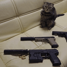 Zombie Fungal Infection - Gallery - Minecraft Modpacks - CurseForge