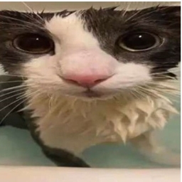 goober den - Minecraft Modpacks - CurseForge