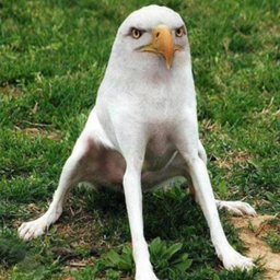 Cursed Insanity - Minecraft Mods - CurseForge