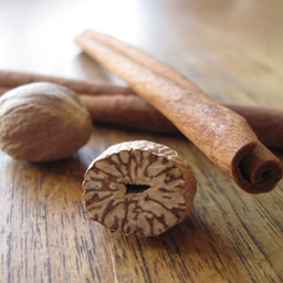 Spice Pack: Nutmeg and Cinnamon - Minecraft Modpacks - CurseForge