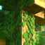 Lush Creeping Vines - Minecraft Bedrock Texture Packs - CurseForge
