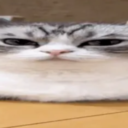 The Super Duper Pack Lite - Dependents - Minecraft Modpacks - CurseForge