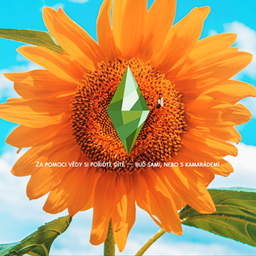 Sunflowers on a summer morning. loading screen - The Sims 4 Mods ...