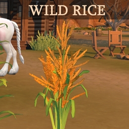 Install WILD RICE FARMING by icemunmun Spanish translation - The Sims 4 ...