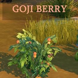 Download Goji Berry Farming by icemunmun Spanish translation - The Sims ...
