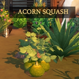 Acorn Squash Farming by icemunmun Spanish translation - The Sims 4 ...