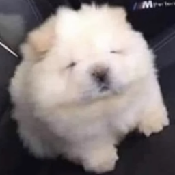 custom splash text - Gallery - Minecraft Resource Packs - CurseForge