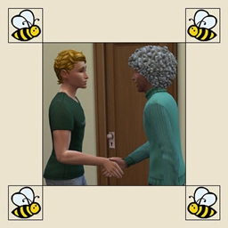 No Visible Polite Intro Effects - The Sims 4 Mods - CurseForge