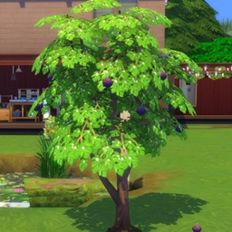 FIGS by icemunmun Spanish translation - Files - The Sims 4 Translations ...