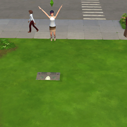 new fly animation - The Sims 4 Mods - CurseForge