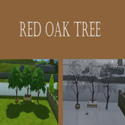Install Red Oak Tree Harvestable | Chinese Translation - The Sims 4 ...