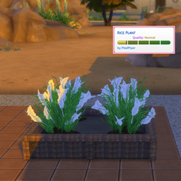 Rice (Harvestable) - Gallery - The Sims 4 Mods - CurseForge