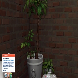 Dermatology Clinic - Laser Treatments | Spanish Translation By ...