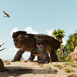Giant Turtle - Gallery - Ark Survival Ascended Mods - CurseForge