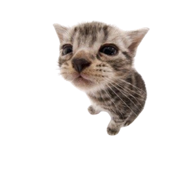 VERY Evil - Minecraft Mods - CurseForge