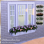 Download Pretty Rose Window Box - The Sims 4 Mods - CurseForge
