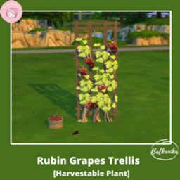Trad FR Rubin Trellis Balkanika - The Sims 4 Translations - CurseForge