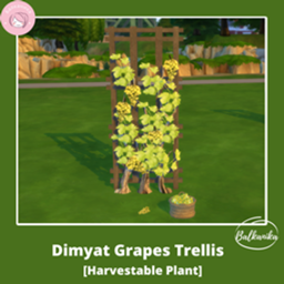 Download Trad FR Dimyat Trellis Balkanika - The Sims 4 Mods - CurseForge