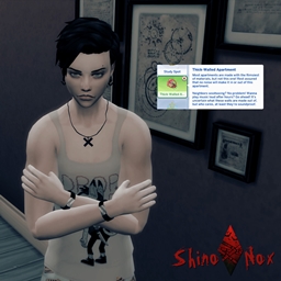 Thick Walls - Apartment Lot Trait - Files - The Sims 4 Mods - CurseForge