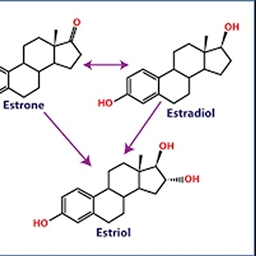 Estrogen Craft - Minecraft Modpacks - CurseForge