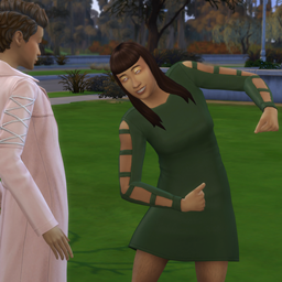 Gender Frames decide Animations - The Sims 4 Mods - CurseForge