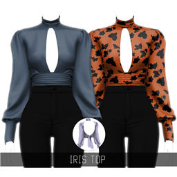 Simpliciaty's Iris Top - The Sims 4 Create a Sim - CurseForge