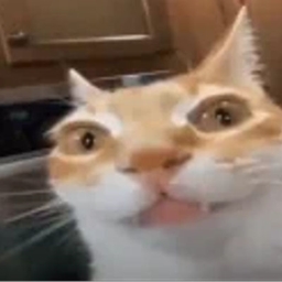 B&S Twitch Emotes - Files - World of Warcraft Addons - CurseForge