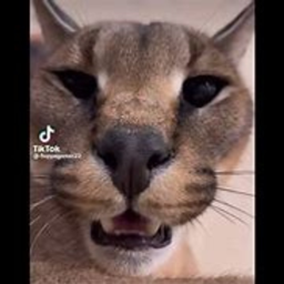 Fender's Horror Pack...with guns... - Minecraft Modpacks - CurseForge