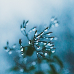 Mo' Structures - Minecraft Data Packs - CurseForge