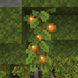 World of Lush Caves - Gallery - Minecraft Mods - CurseForge