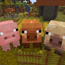 Pig Biome Variants - Files - Minecraft Resource Packs - CurseForge