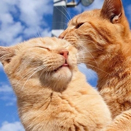 cozy besties - Minecraft Modpacks - CurseForge