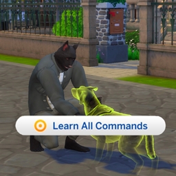 Learn All Commands - Files - The Sims 4 Mods - CurseForge