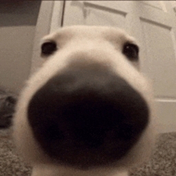 Sniffa — Find missed assignments - Gallery - World of Warcraft Addons ...