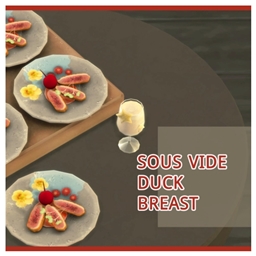 Download Sous vide duck by icemunmun Spanish translation - The Sims 4 ...