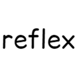 Reflex AntiLag - Minecraft Mods - CurseForge