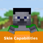 Skin Capabilities - Minecraft Mods - CurseForge