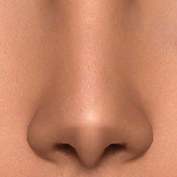 Nose Preset 50 HQ - Gallery - The Sims 4 Create a Sim - CurseForge