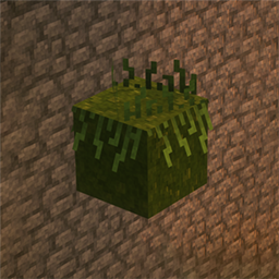 wynncraft better grass - File - Minecraft Resource Packs - CurseForge